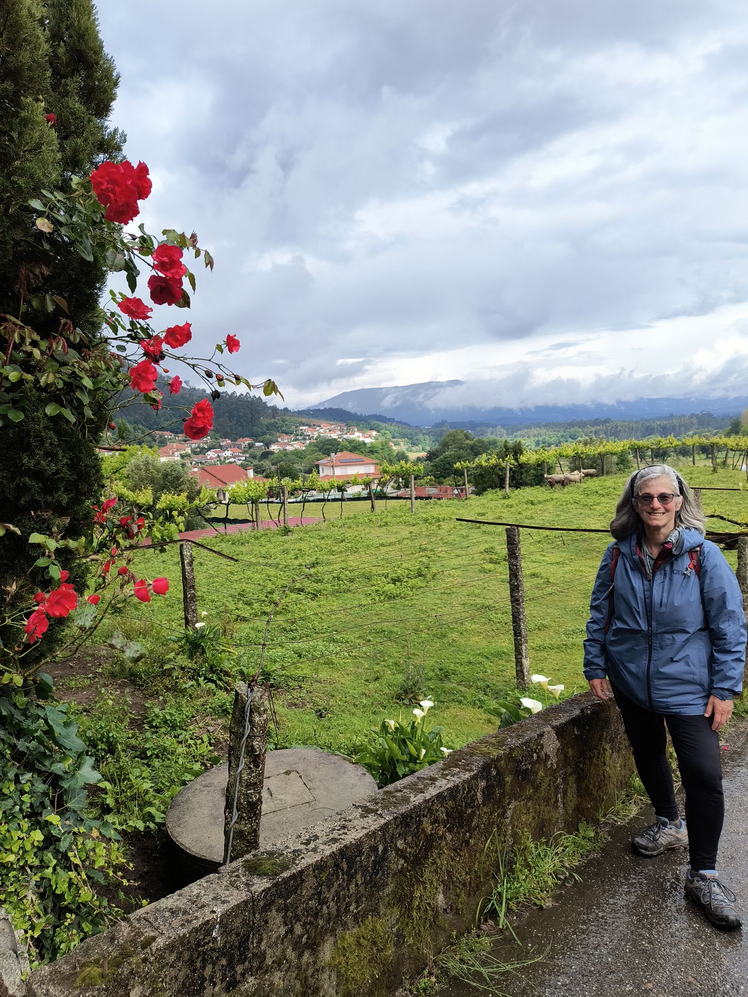 A walk in the countryside – Siri and David Adventures